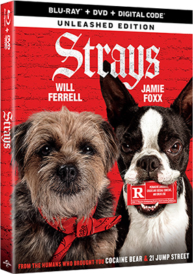 Strays - Media Play News