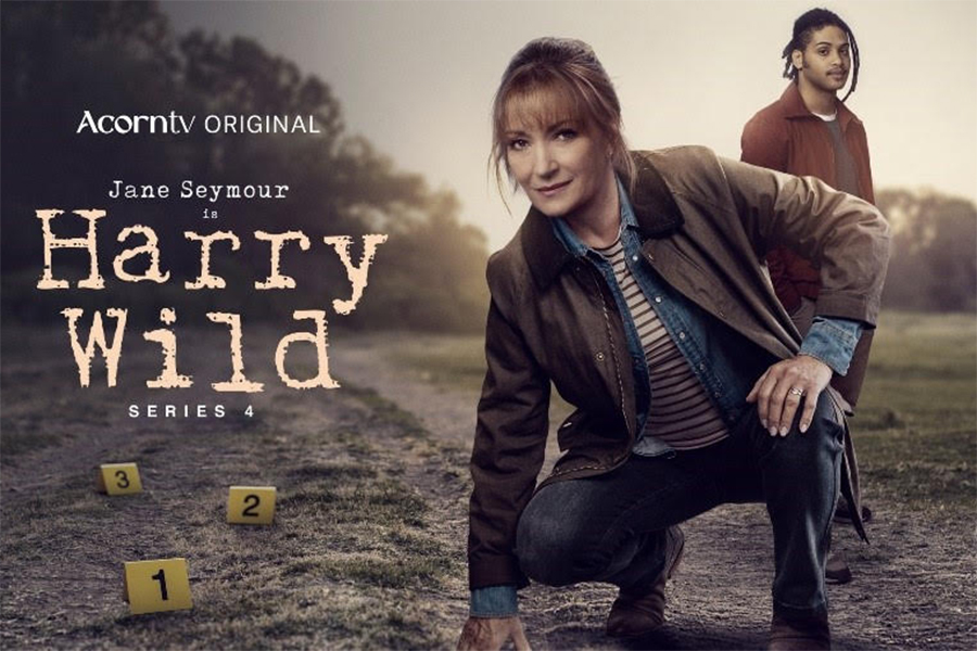 Acorn TV Posts Record Streaming Viewing Hours, Engagement ...